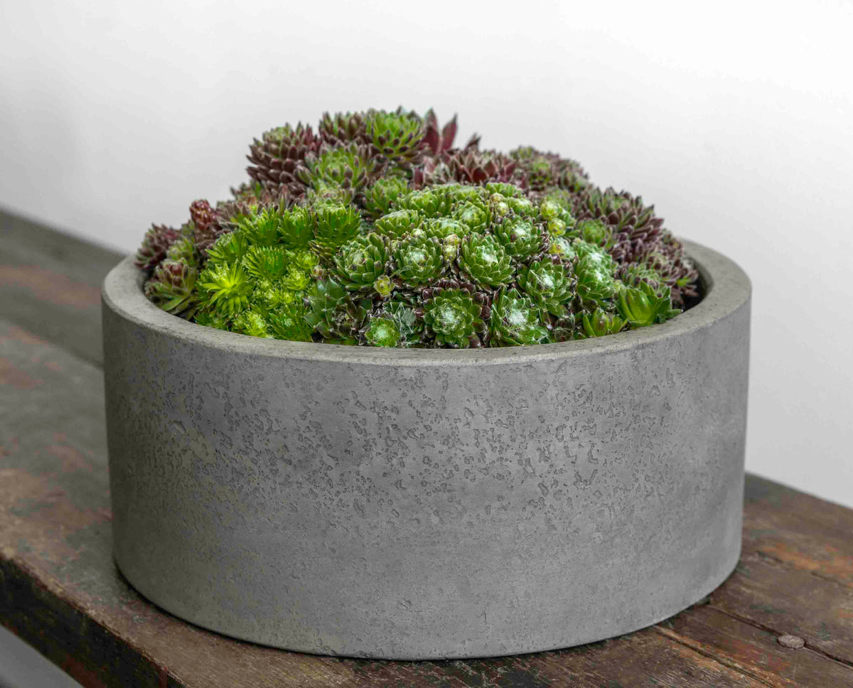 Geo Cylinder Planter – Pondside Nursery