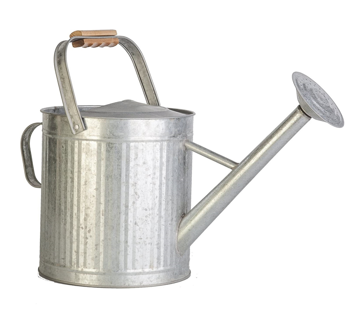 Panacea 2gal Vintage Watering Can – Pondside Nursery